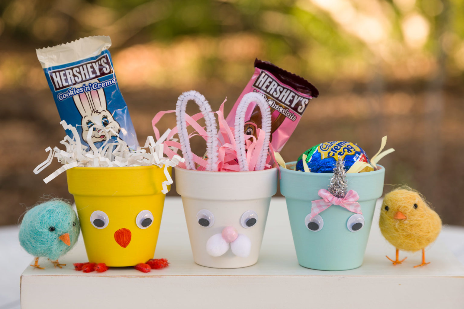 Easter Pots - Olivia OHern