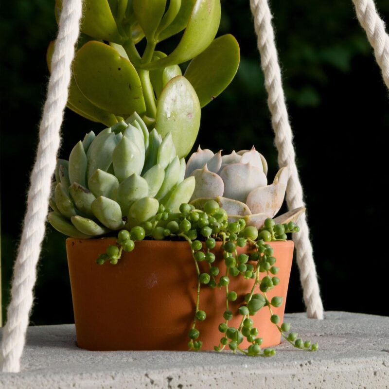 How to Make a Modern Boho Hanging Planter - Olivia OHern